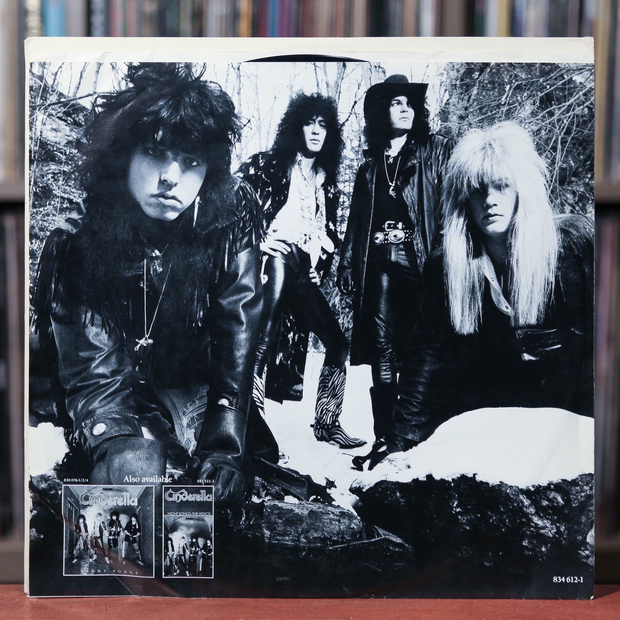 Cinderella - Long Cold Winter - 1988 Mercury, VG/VG+