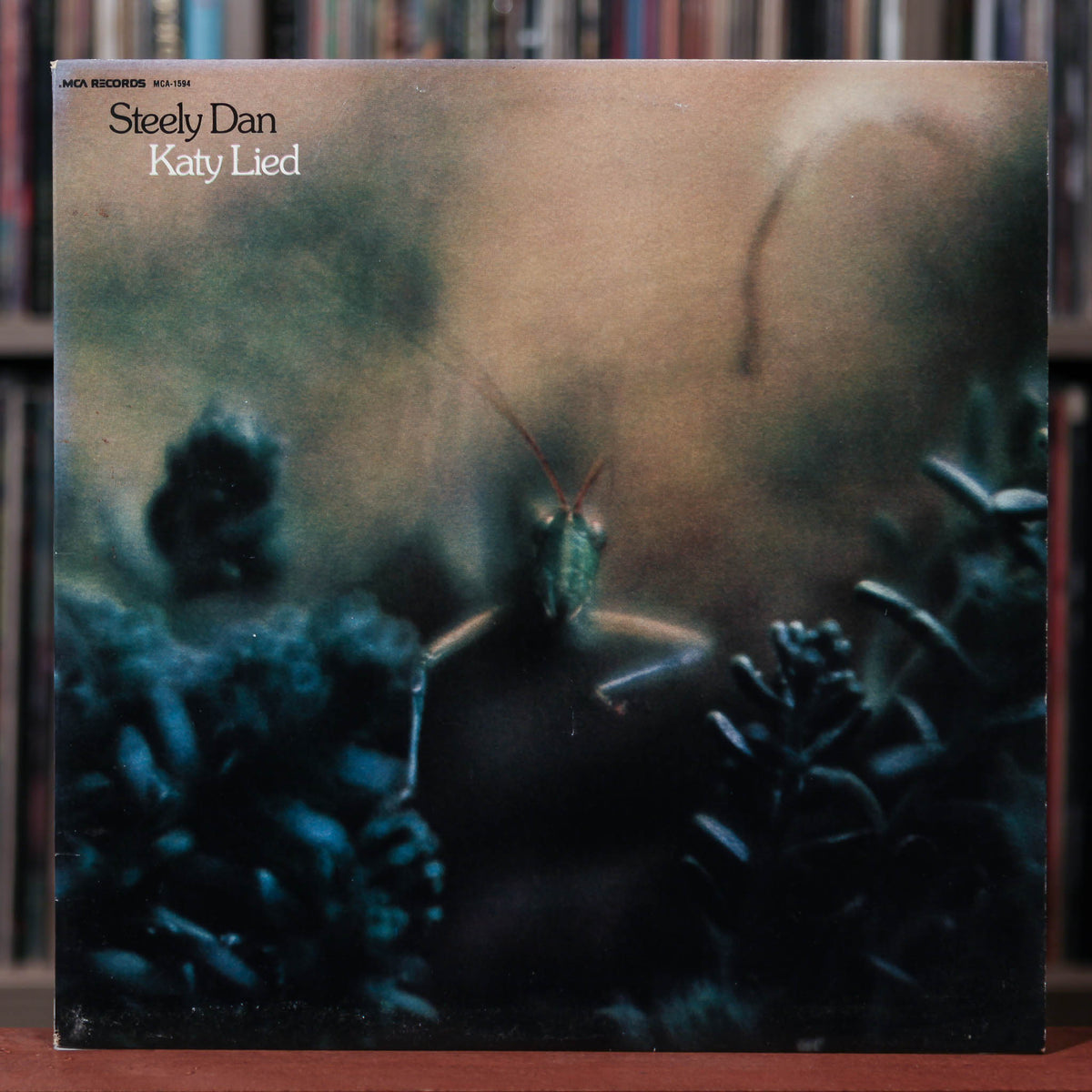 Steely Dan - Katy Lied - 1975 MCA, VG/VG+