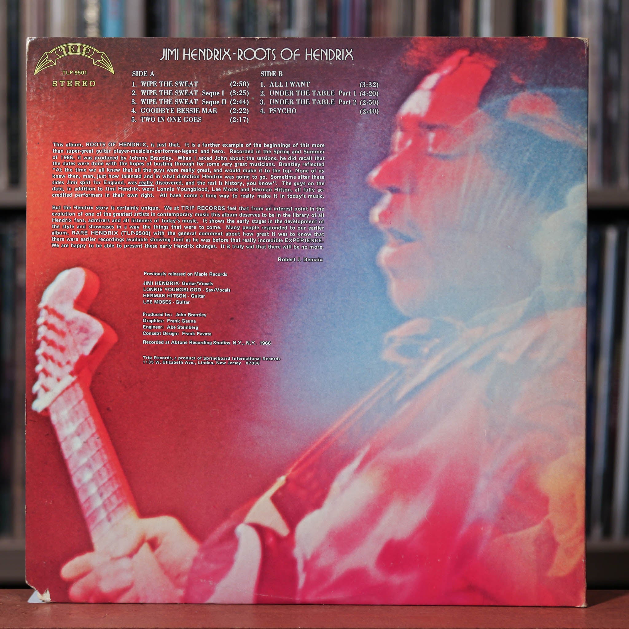 jimi hendrix goodbye